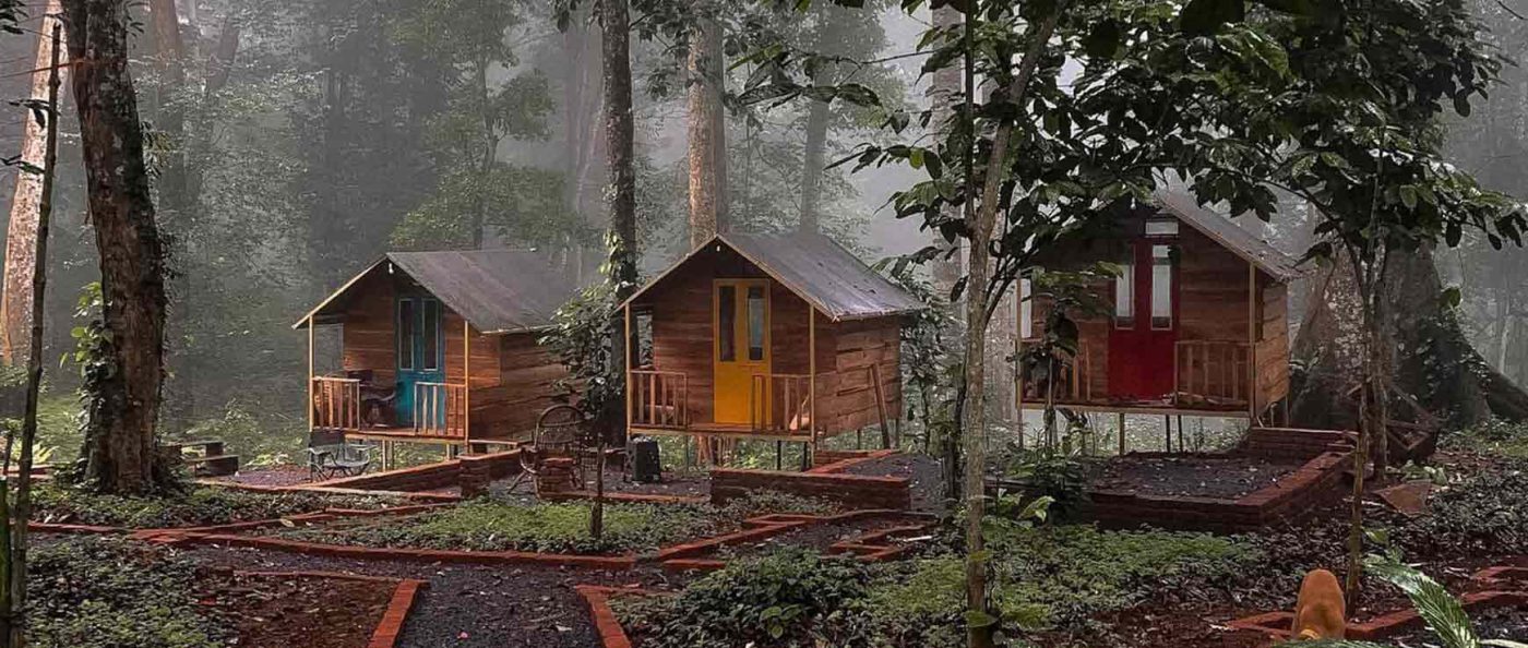 A DAY IN A FOREST - Wayanad Tour Packages